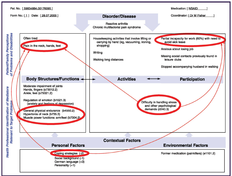 Weltweite Anwendung des RPS-Forms in der Praxis»